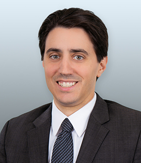 Michael A. Cedrone - Stevens & Lee